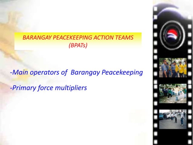 BPAT lecture for Online PCR Executives | PPTX