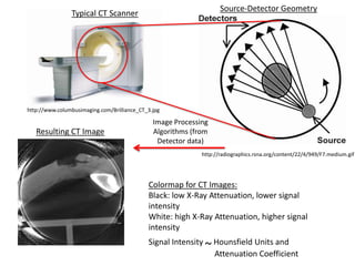 MATLAB-based semi automated method for determining animal bone density ...