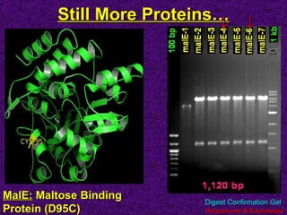 Bacterial Periplasmic Binding Proteins as Biosensors in Liposomes | PPT