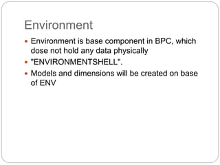 BPC 10.1 basics | PPTX