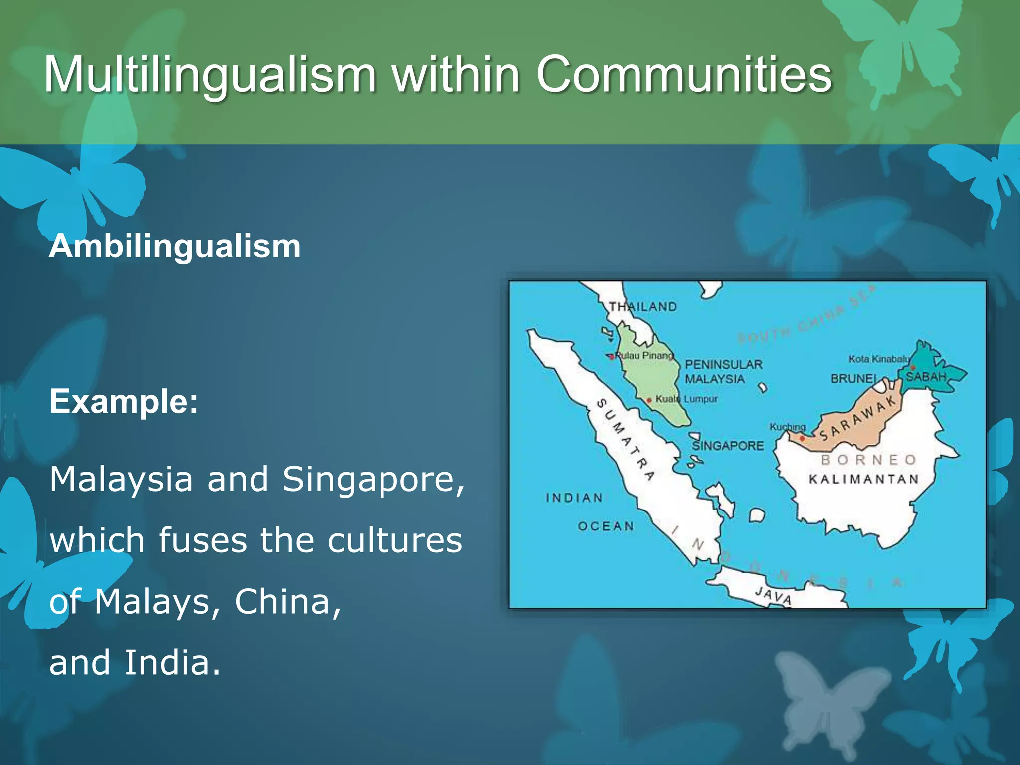 Multilingualism | PPTX