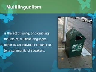 Multilingualism | PPTX