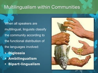 Multilingualism | PPTX