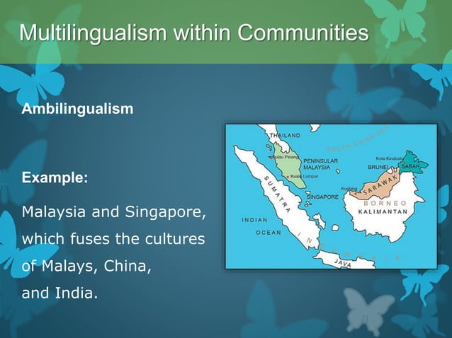 Multilingualism | PPTX