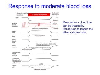 BP_Control.ppt physology1.ppt