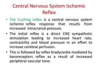 B p control mechanism | PPT