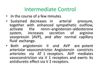 B p control mechanism | PPT
