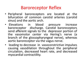B p control mechanism | PPT