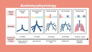 Bronchopulmonary Dysplasia - Chronic complication in preterm babies. | PPTX