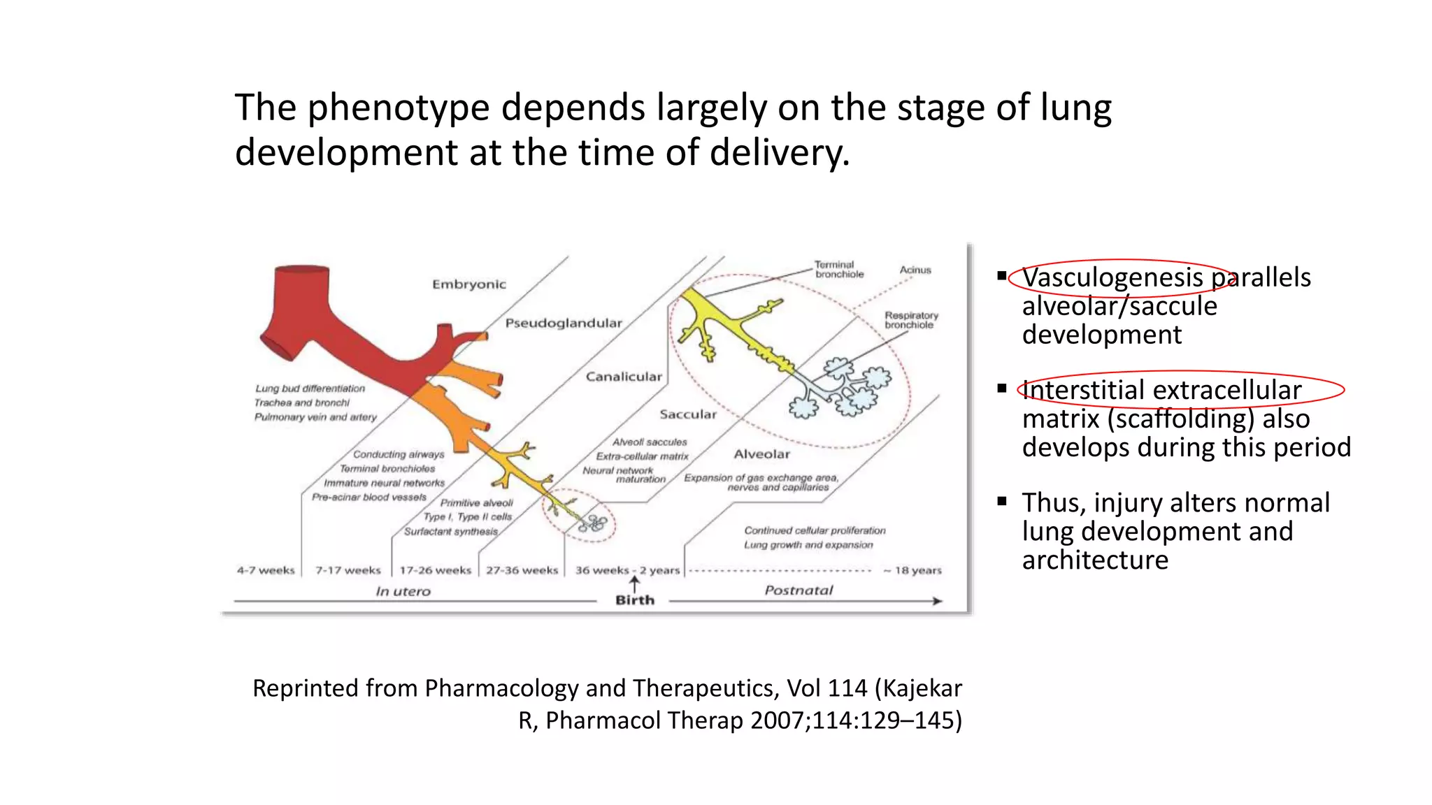 Management of Severe BPD | PPTX