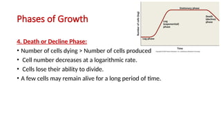 Bioprocessengineeringlectureforengineering | PPTX