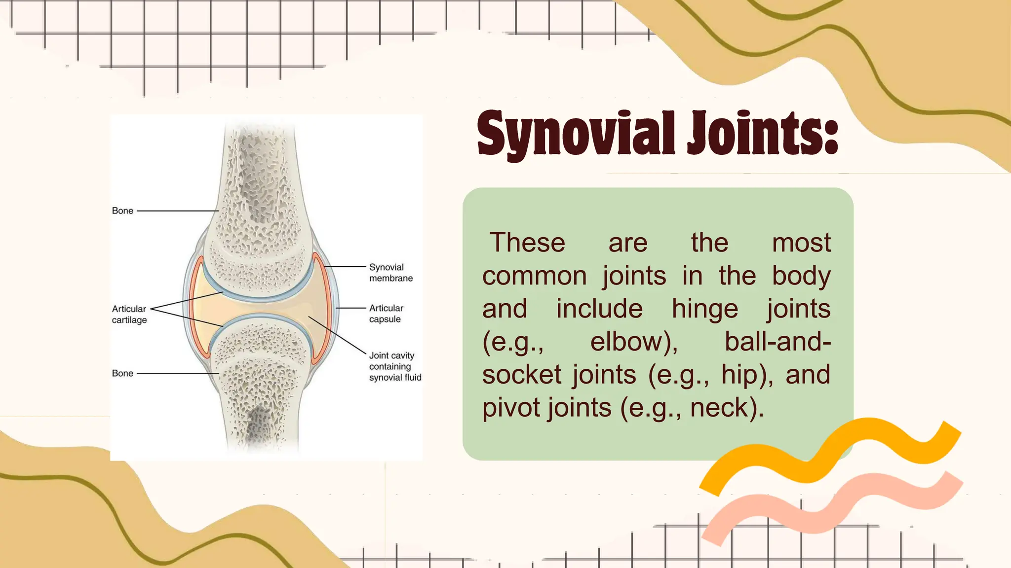 Physical Education biomechanics of human movements in acquiring motor ...