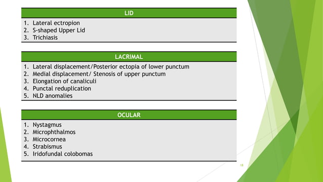Blepharophimosis Ptosis Epicanthus inversus Syndrome (BPES) | PPTX ...