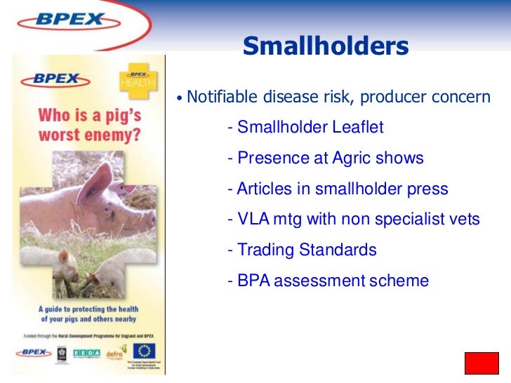 BPEX pig health initiative bsas presentation