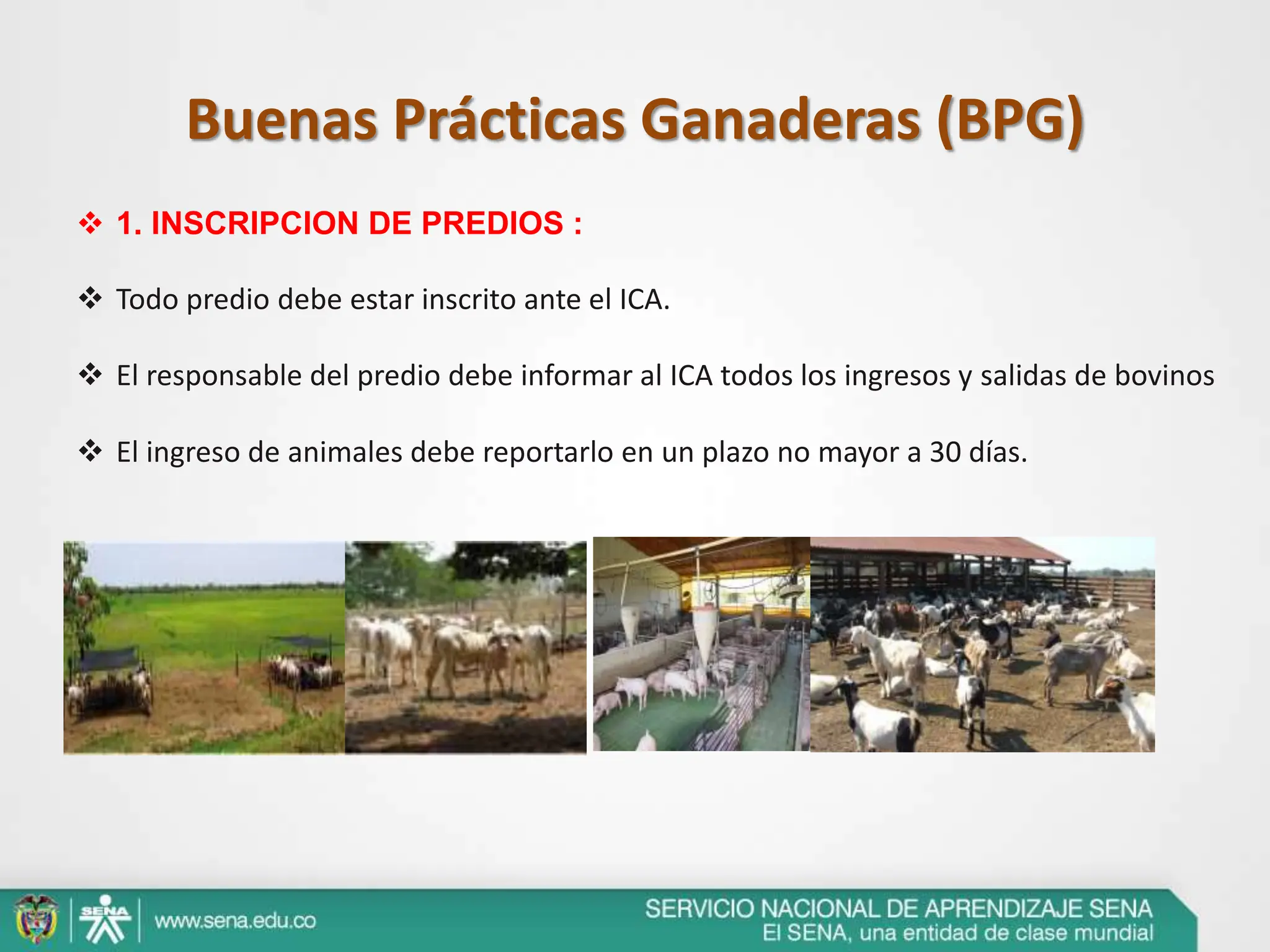 Buenas Practicas Ganaderas, para la formación BPG.ppt
