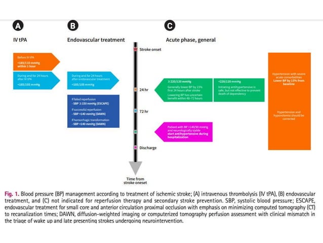 BP Targets in Stroke | PPTX | Heart and Cardiovascular Diseases ...