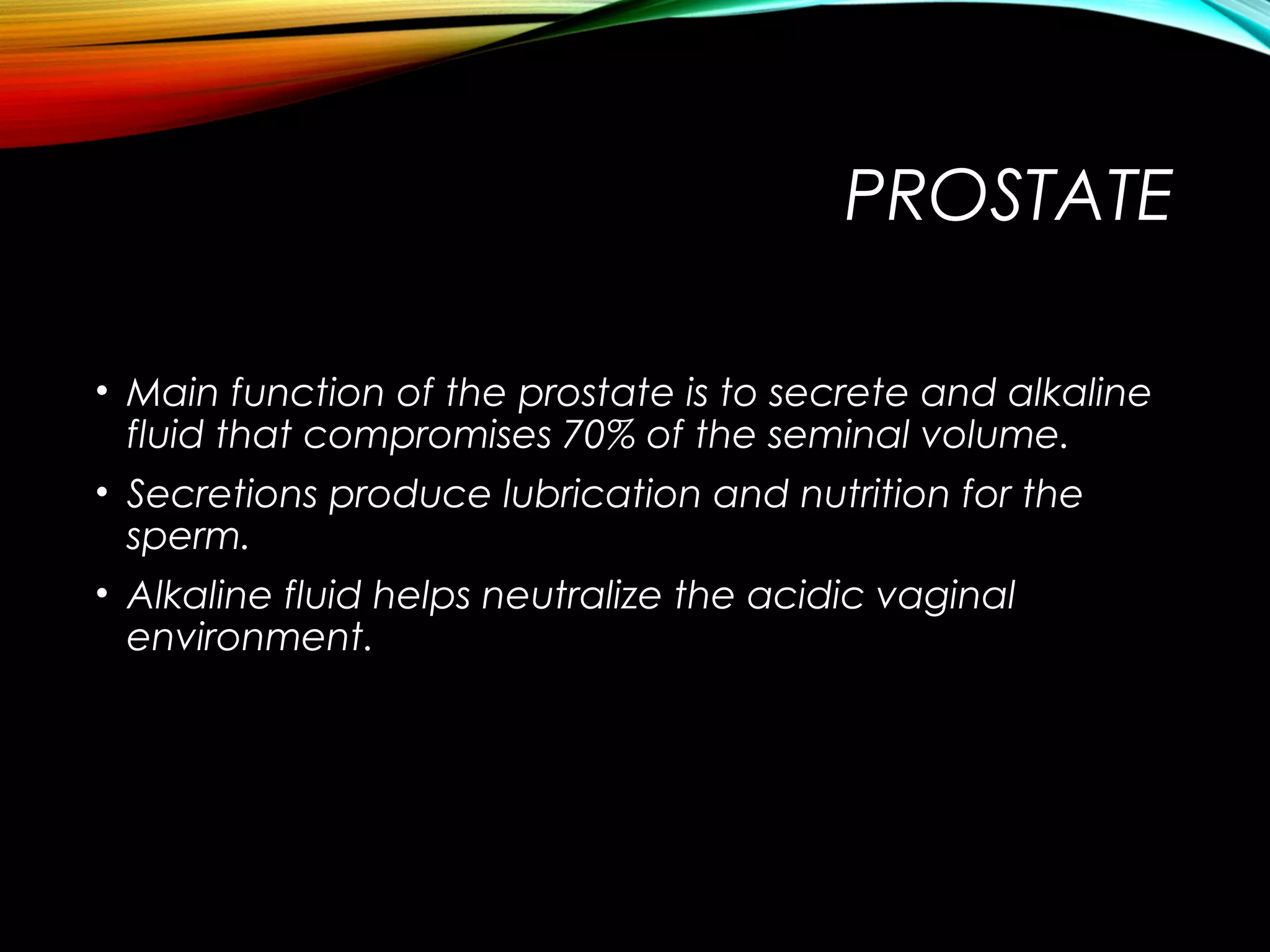 Benign Prostatic Hyperplasia (BPH and LUTS) | PPT
