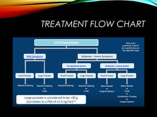 Benign Prostatic Hyperplasia (BPH and LUTS) | PPT