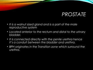 Benign Prostatic Hyperplasia (BPH and LUTS) | PPT