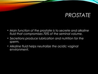 Benign Prostatic Hyperplasia (BPH and LUTS) | PPT