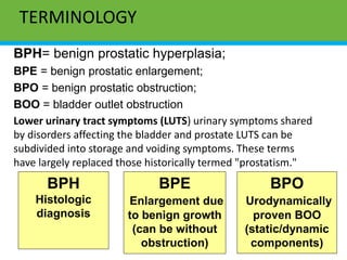 bph.pptx