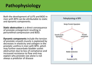 bph.pptx