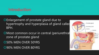 bph..pptx