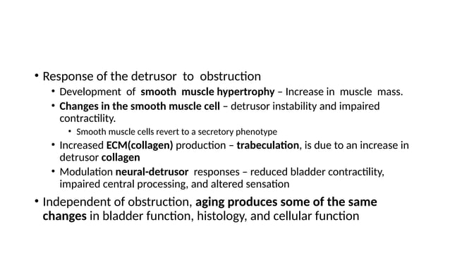 Benign Prostatic Hyperplasia uro hand.pptx
