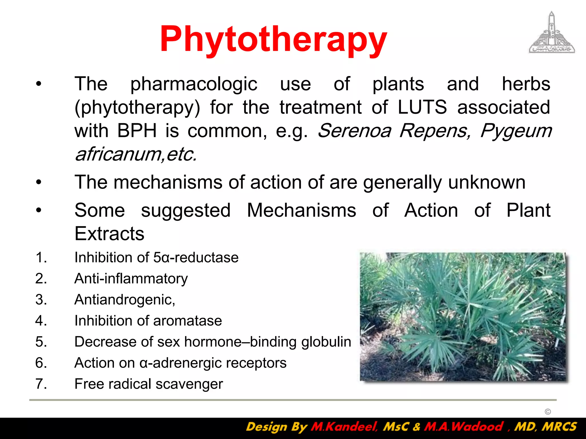 BPH | PDF