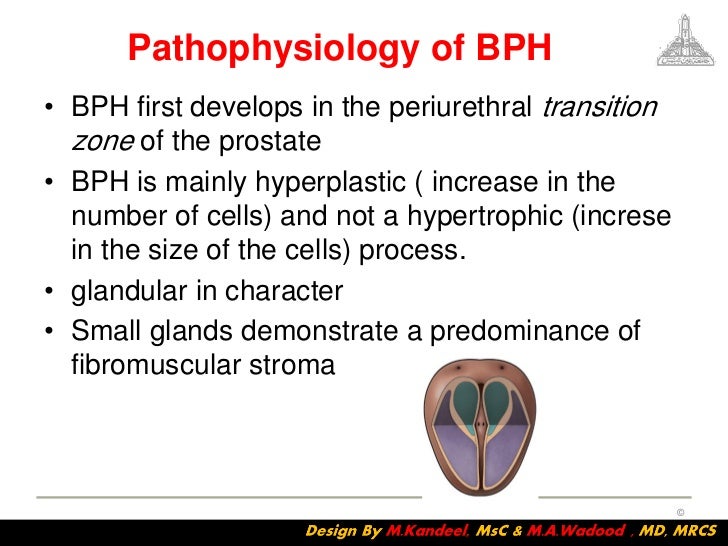 BPH