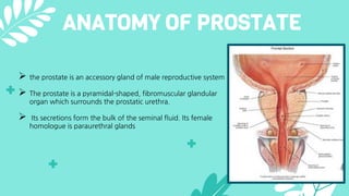 benign prostatic hyperplasia and carcinoma.pptx
