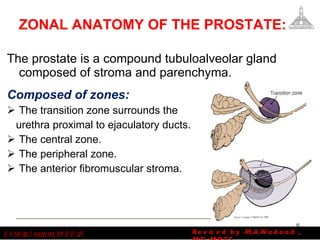 BPH and Obstructive Uropathy | PPT