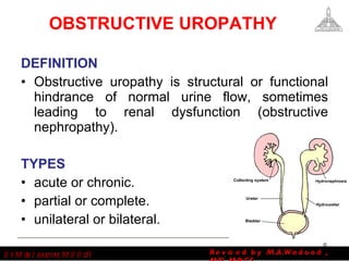 BPH and obstructive uropathy | PPT