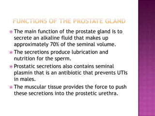 Bph and prostate cancer | PPTX