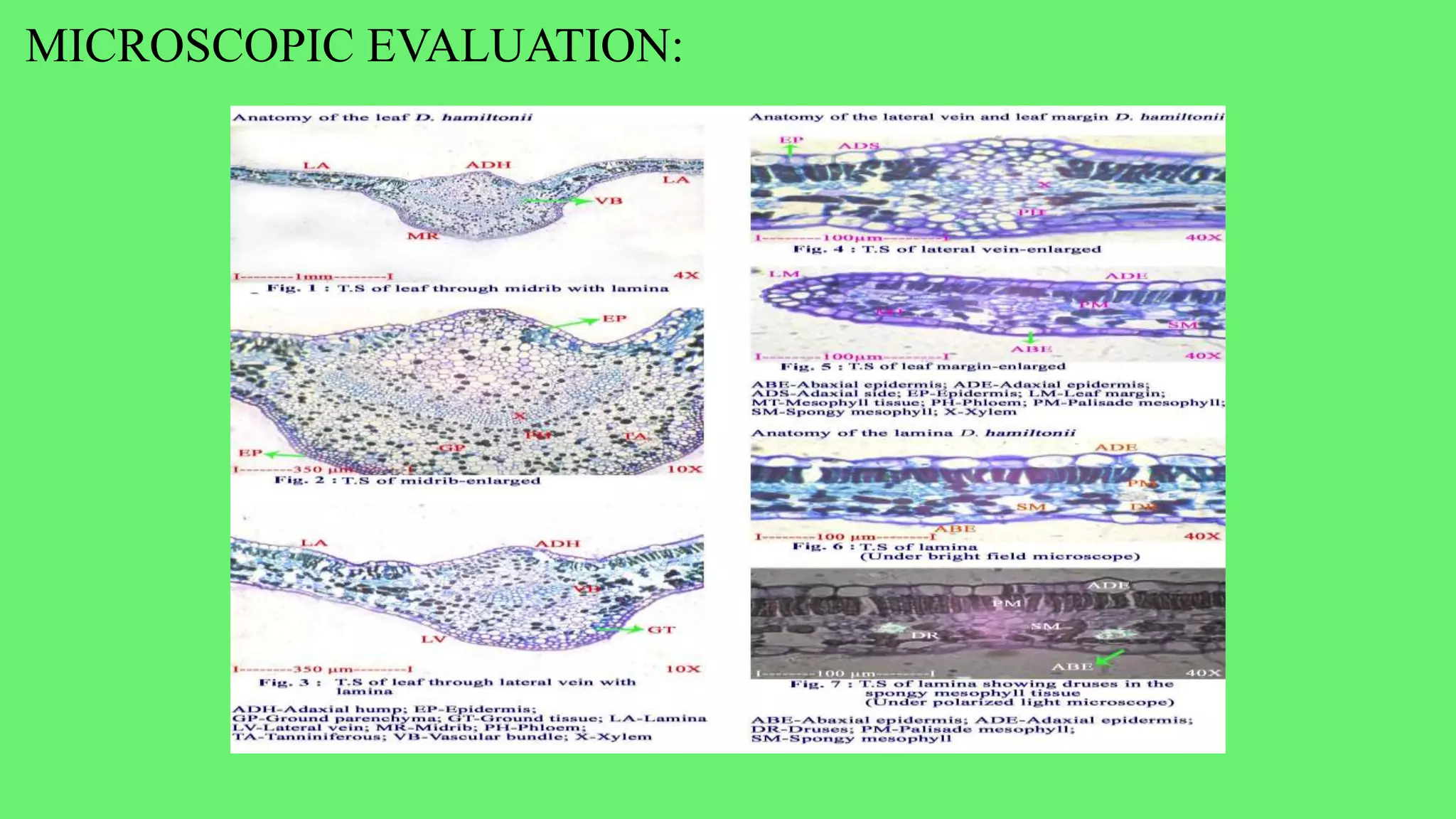 PHARMACOGNOSTICAL AND BIOLOGICAL ACTIVITY EVALUATION OF DECALEPIS ...