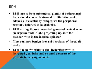 Bph dr mnr | PPT