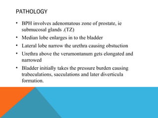 Bph dr mnr | PPT
