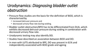 BENIGN PROSTATIC HYPERPLASIA: Epidemiology, Etiology, Pathophysiology ...