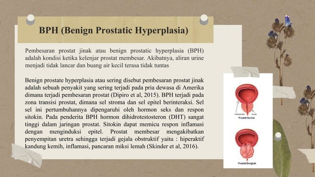 BPH KELOMPOK 1.pptx