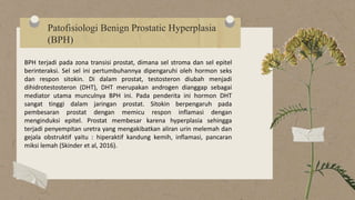 BPH KELOMPOK 1.pptx