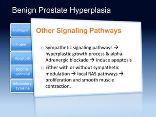 Etiology of BPH | PPTX