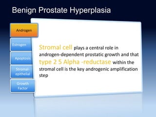 Etiology of BPH | PPT
