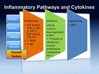Etiology of BPH | PPT