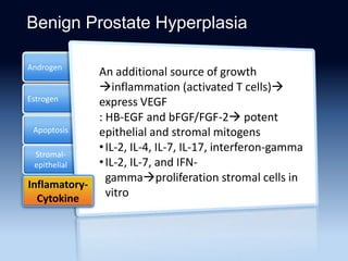 Etiology of BPH | PPT