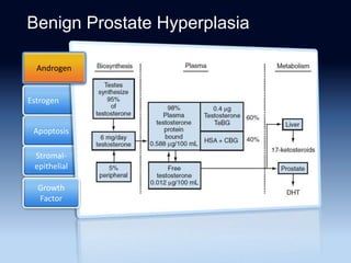 Etiology of BPH | PPT