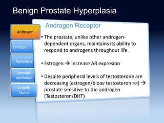Etiology of BPH | PPT