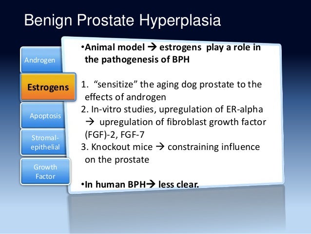 Etiology of BPH