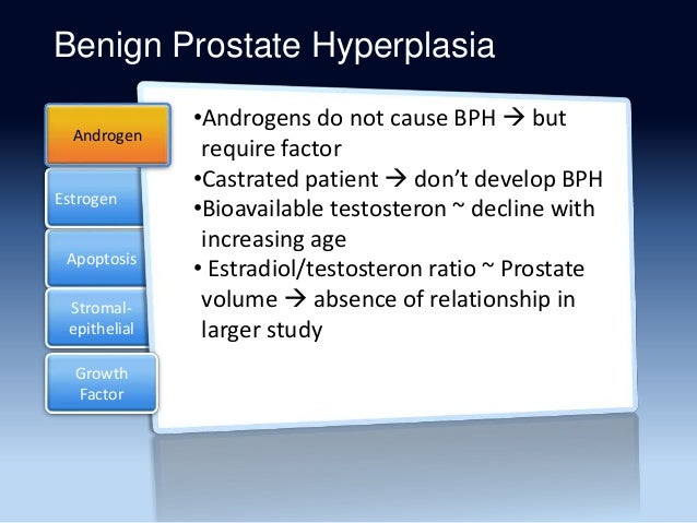 Etiology of BPH