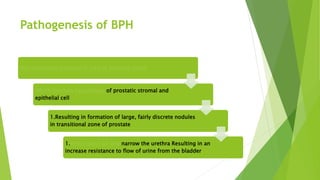 BPH PPT.pptx