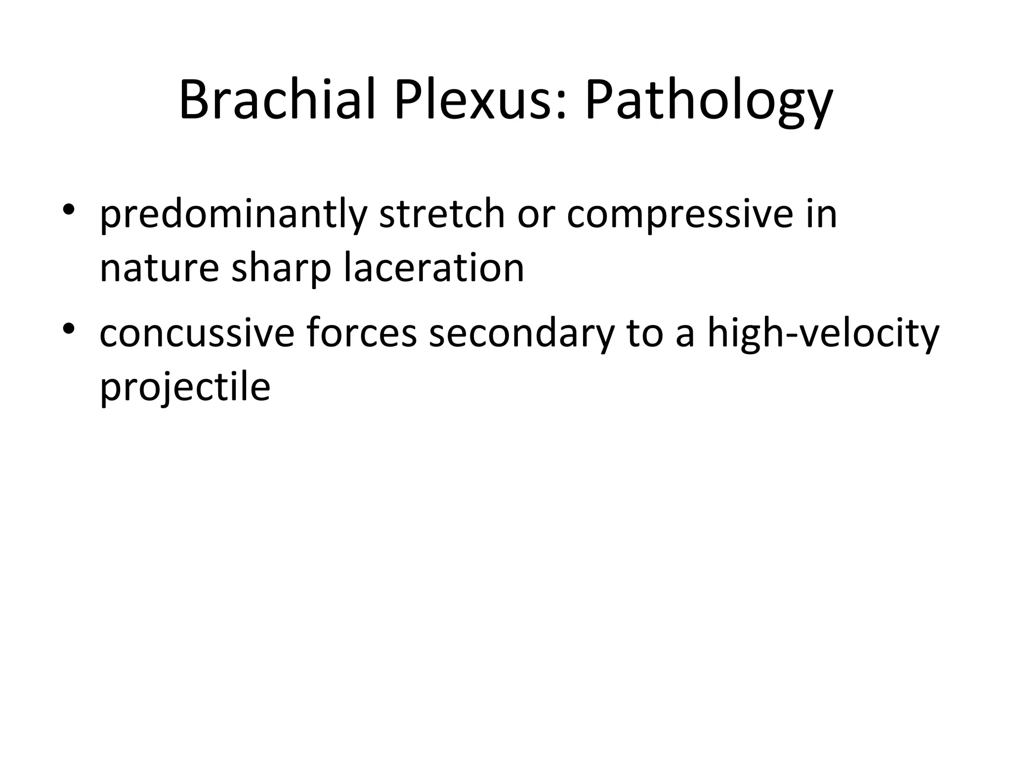 Brachial Plexus Injury, anatomy and surgical options | PPT